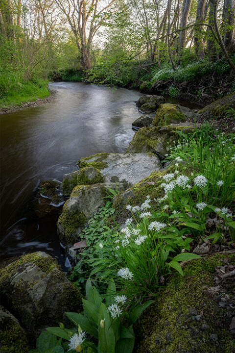 Langzeitbelichtung 100% richtig lernen - Das Thema "Langzeitbelichtung ...